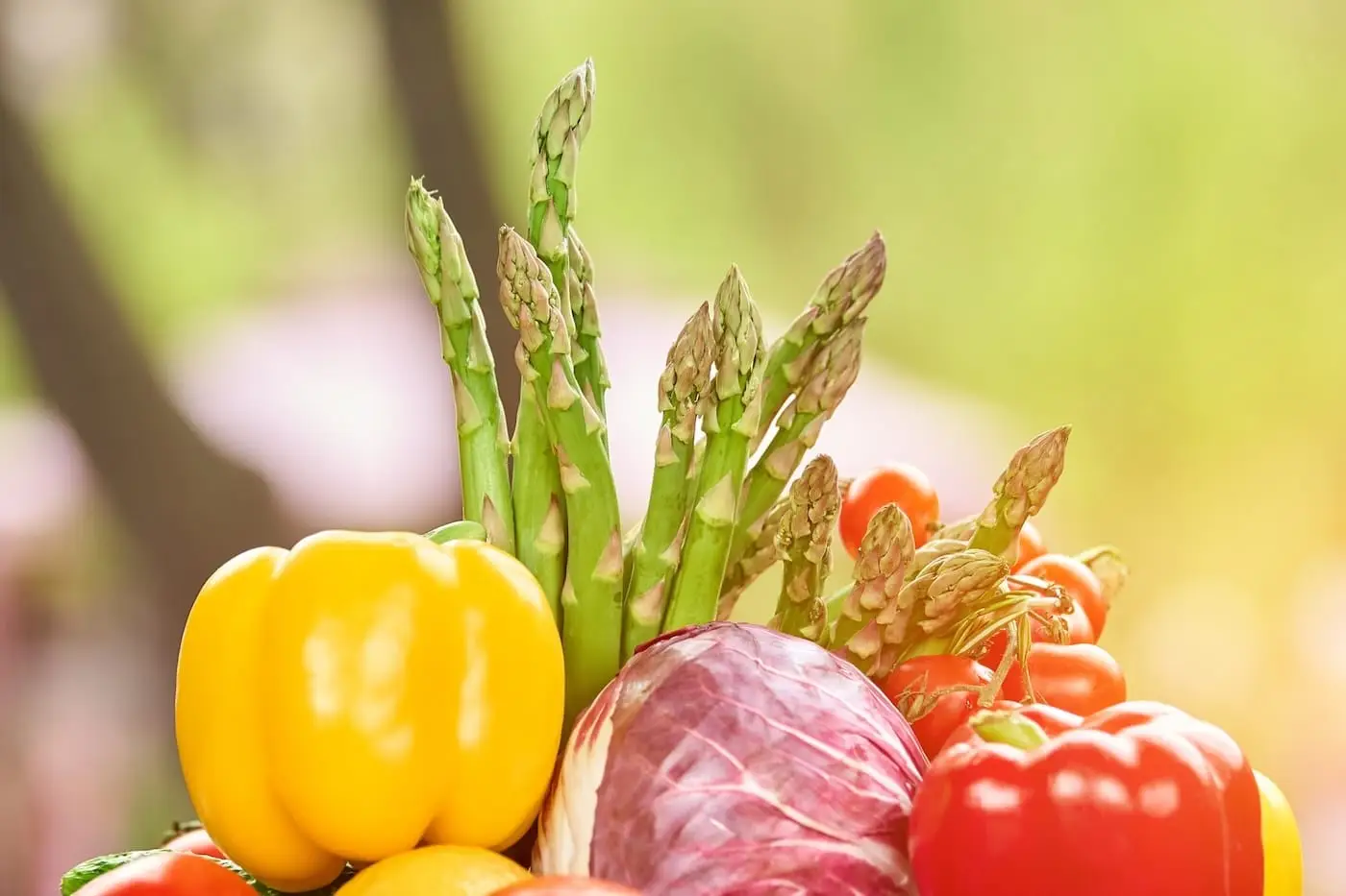 Produce Suppliers in Florida | Fresh Wholesale Produce